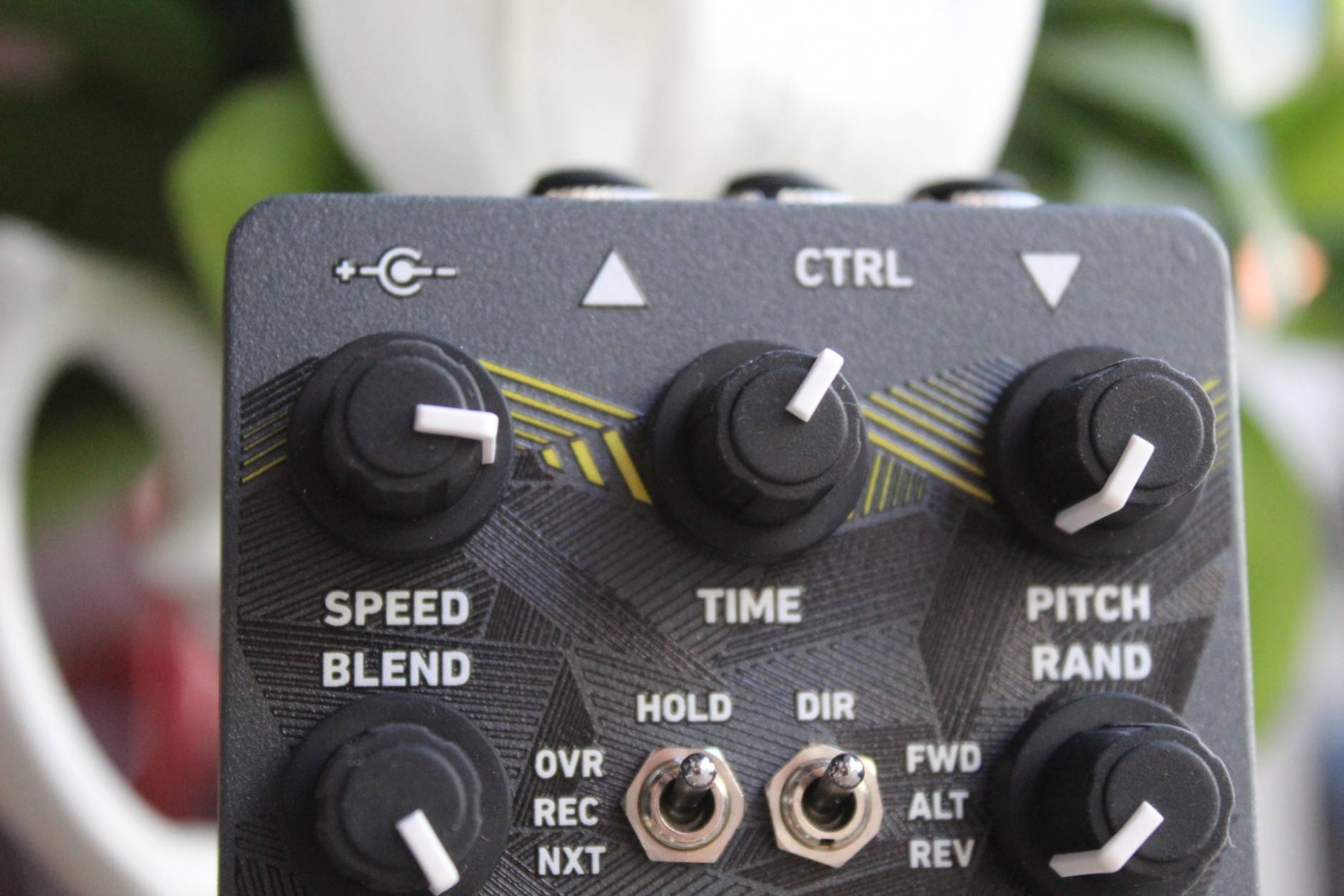 RED PANDA Tensor - Estudio 54