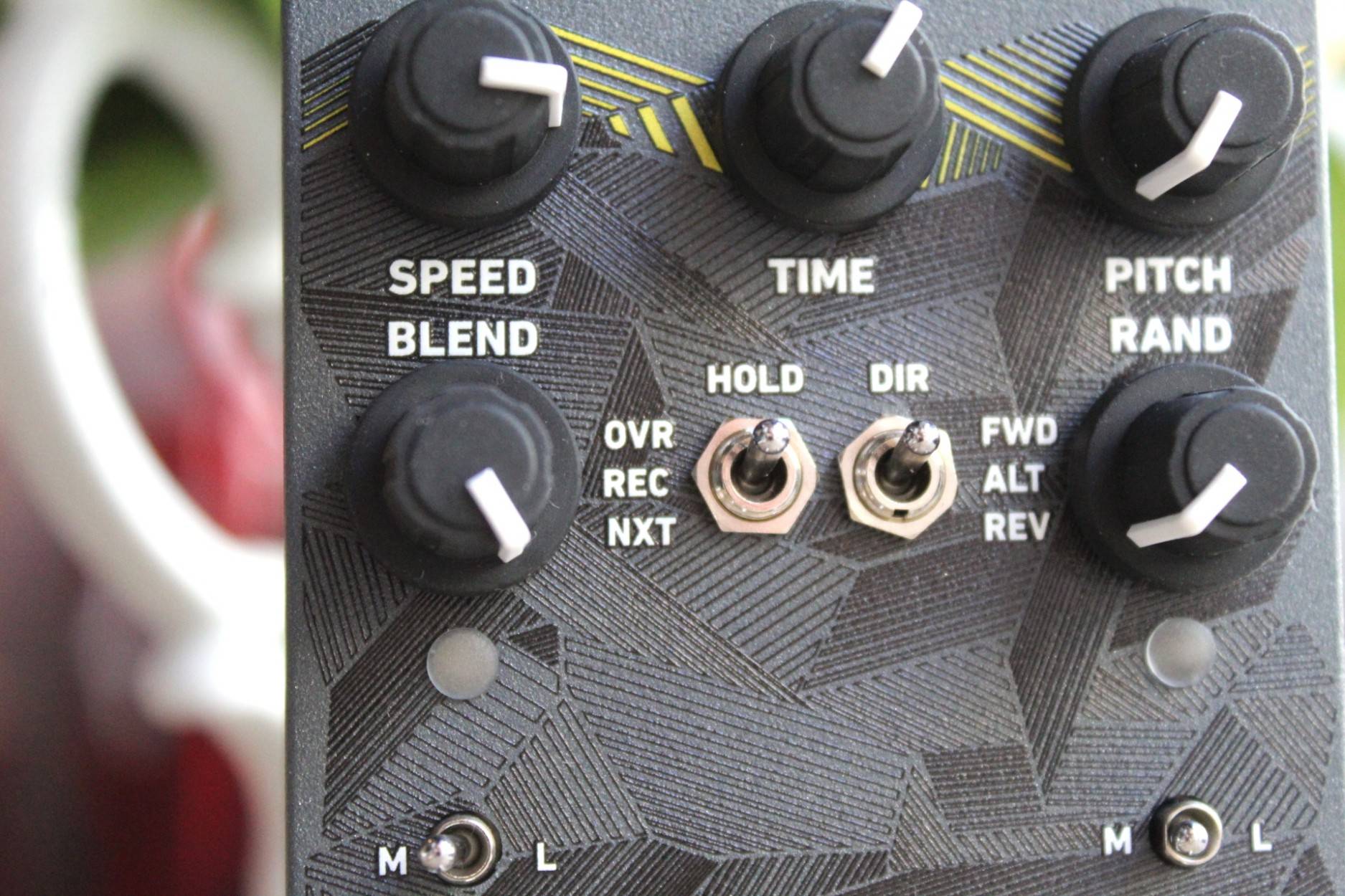 RED PANDA Tensor - Estudio 54